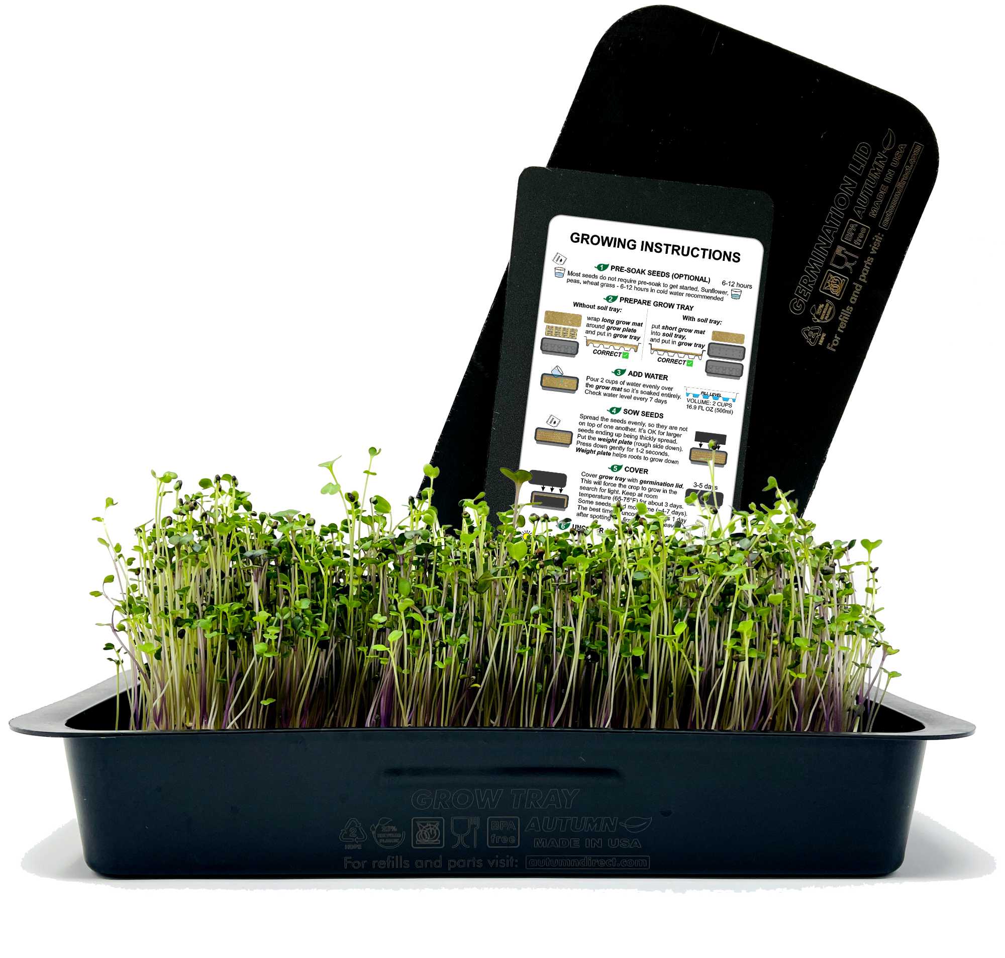 Microgreens Grow Kit – AUTUMN